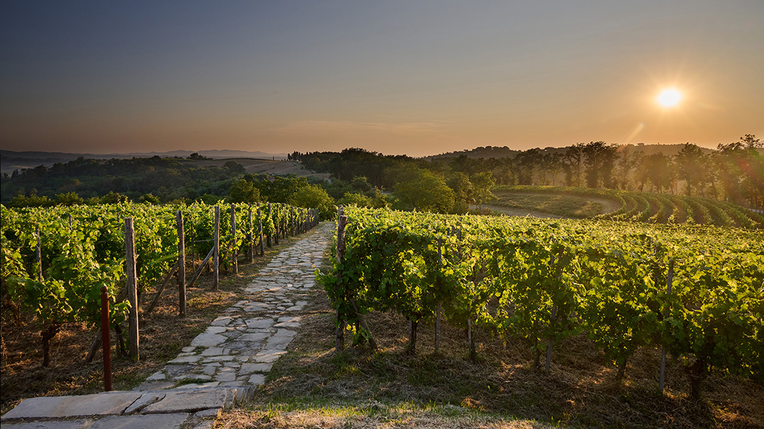 Hand Picked Hotels Launches Wine Dinners in partnership with Villa Saletta