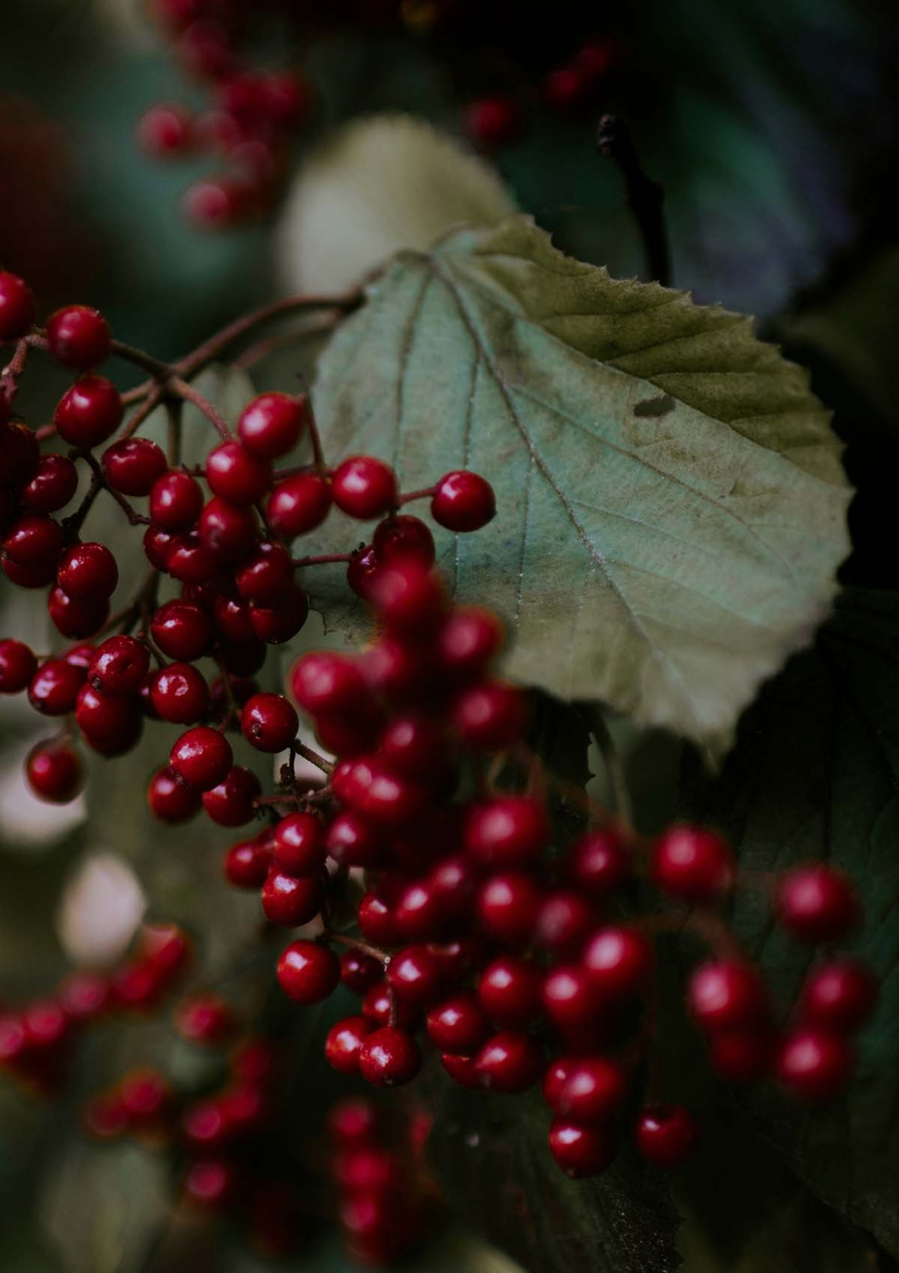 Wood Hall Luxury Hotel Wetherby | Hand Picked Hotels