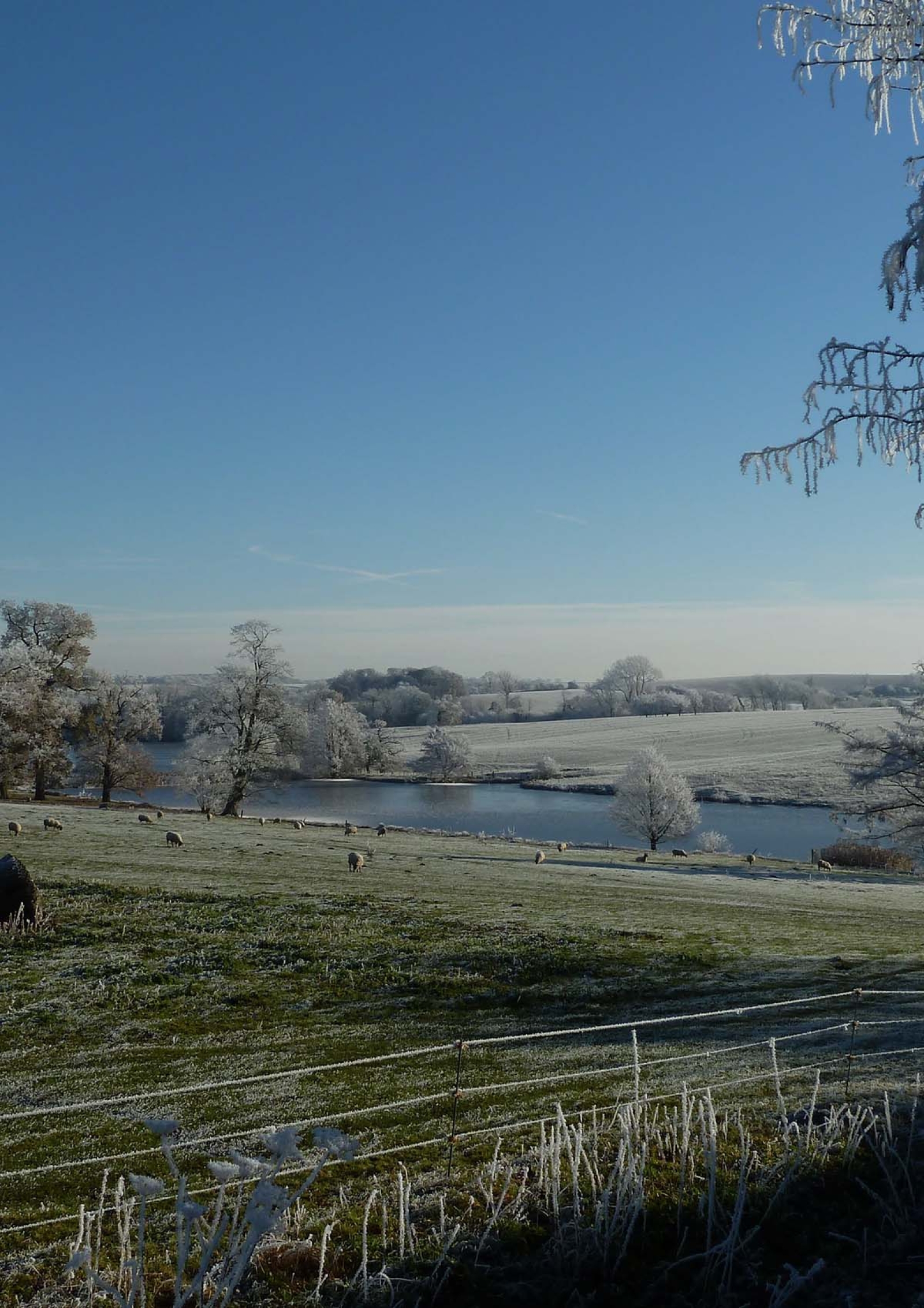 Buxted Park Luxury Hotel Sussex | Hand Picked Hotels