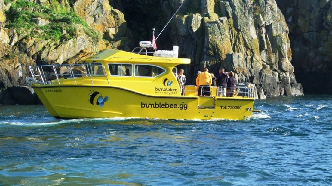 Bumblebee Boat Cruises